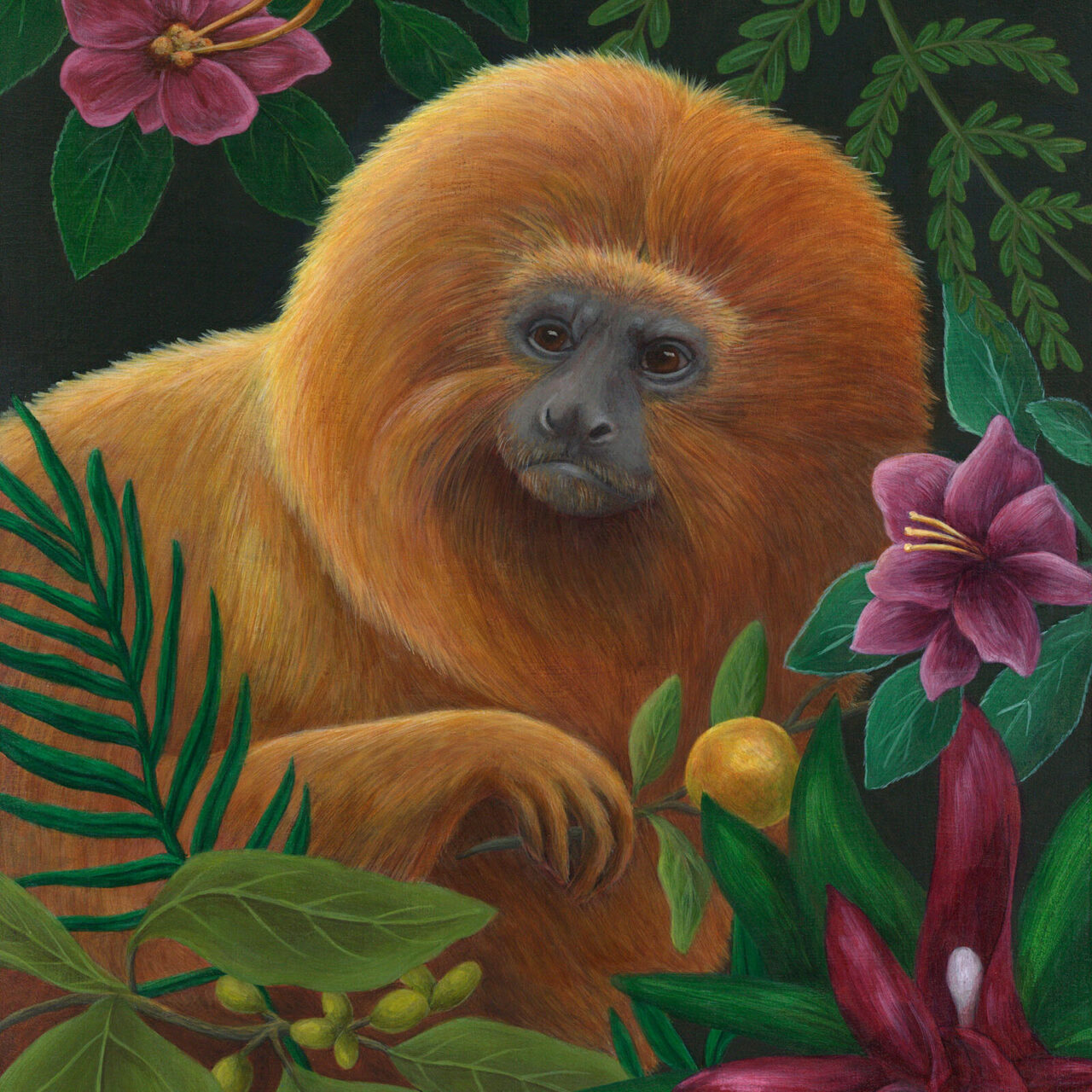 Kayla Reilly - Morgan Gaynin