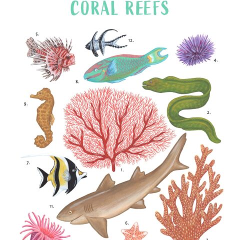 Kayla Reilly - Morgan Gaynin