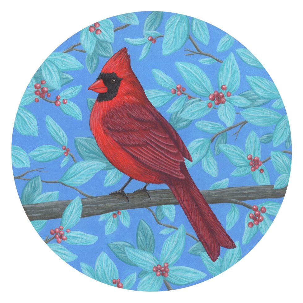 Kayla Reilly - Morgan Gaynin