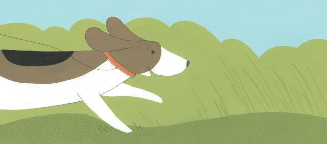 CSookocheff_LS_10 - Morgan Gaynin